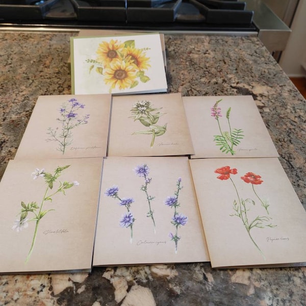 Watercolor Vintage Botanical Floral Wildflower Notecards - 12 Card Gift ...