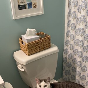 Blank Matchbook | Digital Download | Customizable Matchbooks | Plain ...