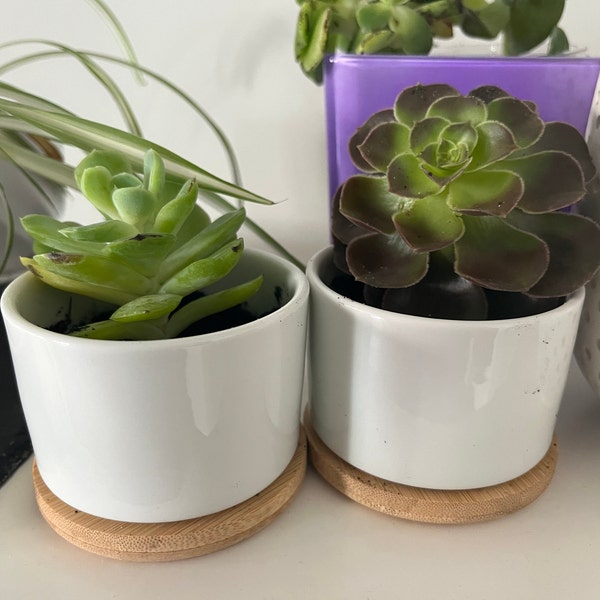 People Planter - "gamer" (#7) - Etsy