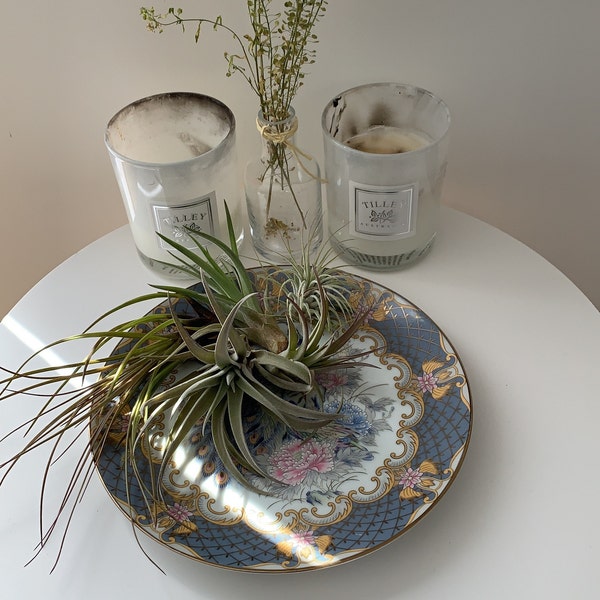 Antique German Fairing Cats Figurine - Etsy