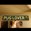 Pug Lover Gift, Pug Sign, Pug Dog, Pug Gift, Pug, Dog Lover, Pug Rescue ...