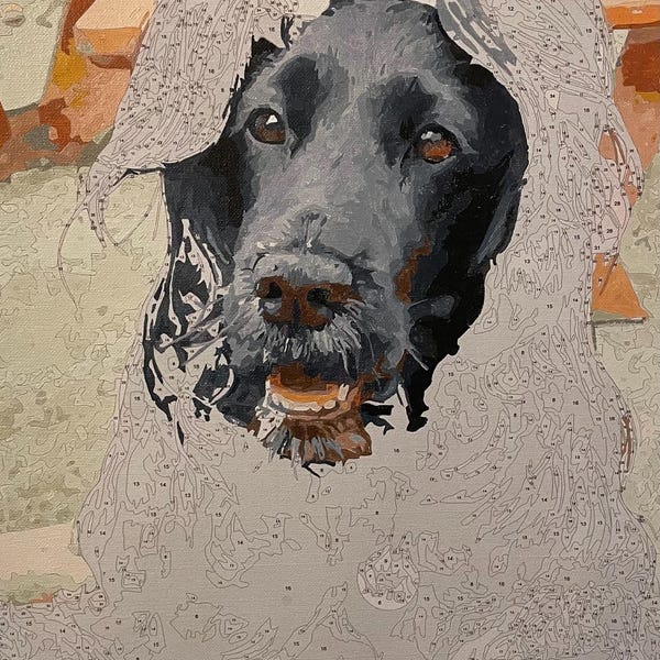 Custom Paint by Number Kit, Personalised Paint by Number, Paint Your ...