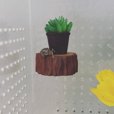 3D Printed Magnetic Spider Platforms Set of 3, Terrarium Platforms - Etsy