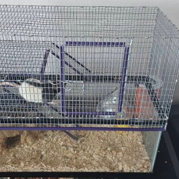 36.5x19 30 or 40 Gallon Breeder Aquarium Cage Topper One Story Front ...