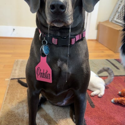 Goat Collar ID Tags - Etsy