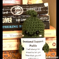 Emotional Support Pickle & Positive Poo Pattern Bundle,us Terms ...