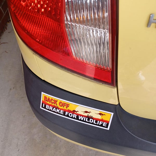 Funny Bumper Sticker If You Get Any Closer I'll Fart Waterproof Vinyl ...