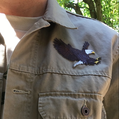 American Bald Eagle Landing Iron on Applique Embroidered Patch WA50 - Etsy