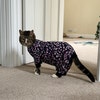 Sphynx Cat Clothes, Clothes, Long Sleeves Sphynx Cat Jumper, Sphynx ...
