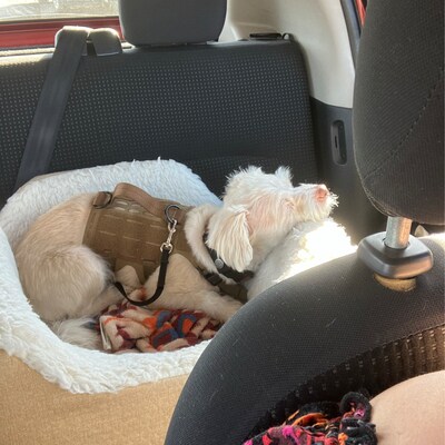 Kiloniner Premium MP4 Poop Pet Waste Bag Dispenser MOLLE Compatible Pouch US Made Poop Bag ...