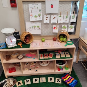 APPLE LIFE CYCLE 10 Montessori Cards Large Size A1 Flash Cards ...