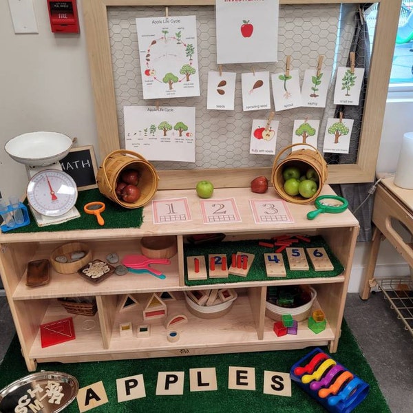 APPLE LIFE CYCLE • 10 Montessori Cards • Large Size A1 Flash Cards ...