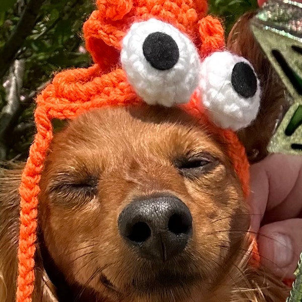 ANY COLOR Crochet Bead Pal Lizard 28"x12" - Etsy