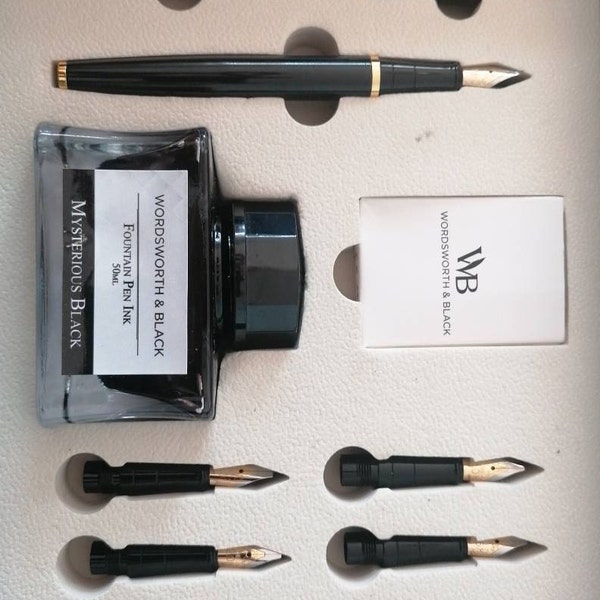 Calligraphy Pen Gift Set, Includes Ink Bottle, 6 Ink Cartridges, Ink ...
