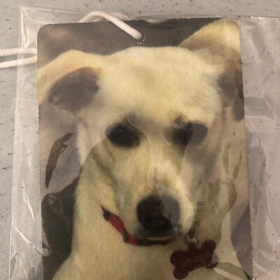 Joe Exotic Face Mask Tiger King Halloween Costume Washable Adjustable ...