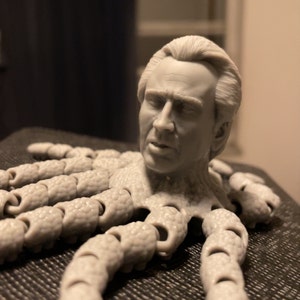 Picolas Cage 3D Print Resin - Etsy