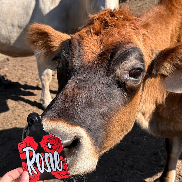 Custom Cattle Ear Tag - UV Printed Full Color Weatherproof ...