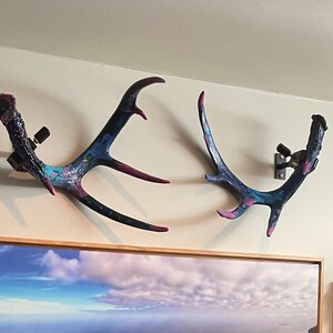 European Skull Mount Table Top Display | Etsy