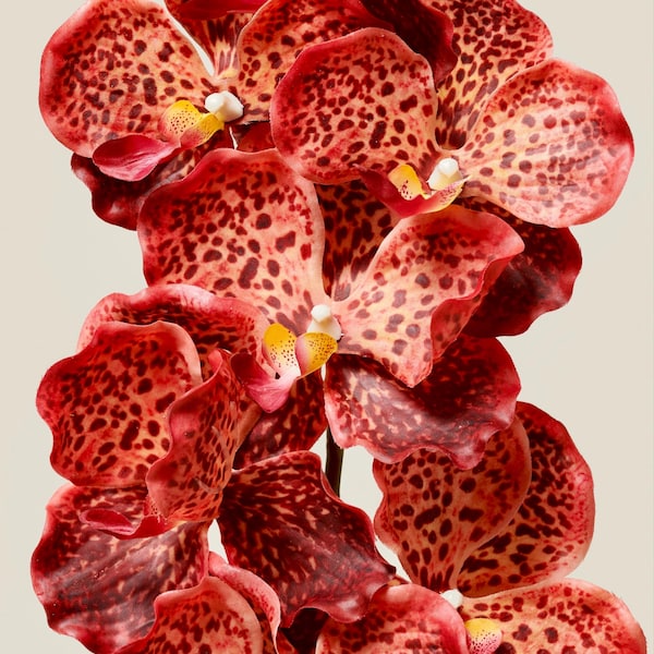 Real Touch Orchid Stem Burnt Orange – Faux Orchid for Luxe Floral ...