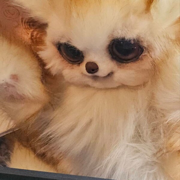 Realistic Iris for Dolls and Toys. Round Pupil. Sizes 14mm, 12mm ...