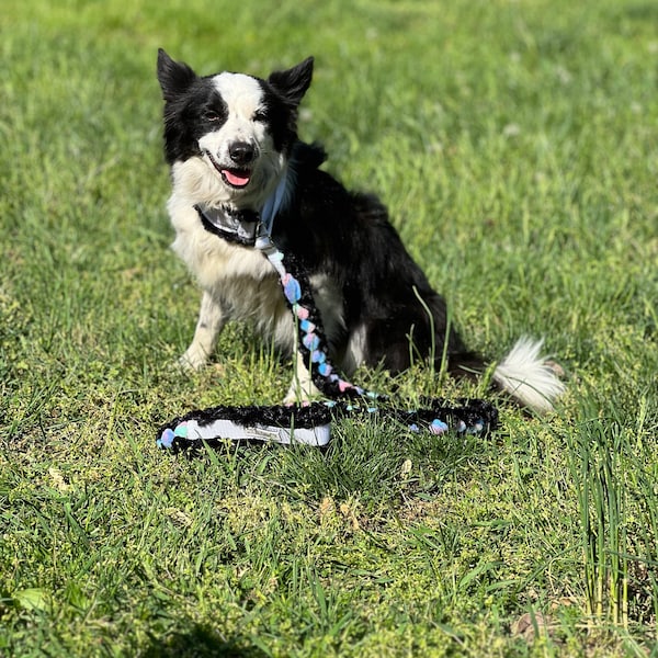 Bold and Bright Ring Lead With Tug! - Agility Lead-barn Hunt Lead ...