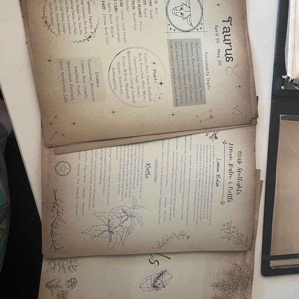 Complete Grimoire Page Bundle, Grimoire Pages, Grimoire Printables ...