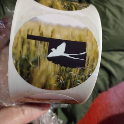 Scissortail Oklahoma State Shape SVG Cut File - Etsy