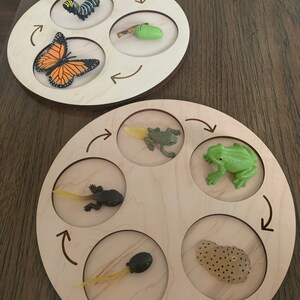 WILDLIFE Animals North America Safari TOOB Montessori Nomenclature ...