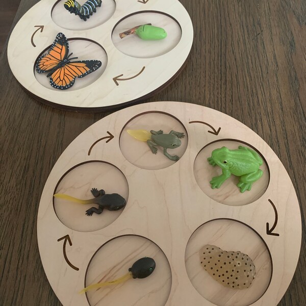 PARTS of a TREE • Montessori Cards • Flash Cards • Three Part Cards ...