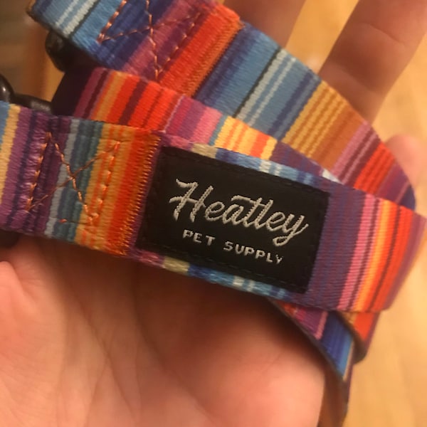 Bright Stripes Dog Collar - Pattern | Colorful | Modern - Etsy