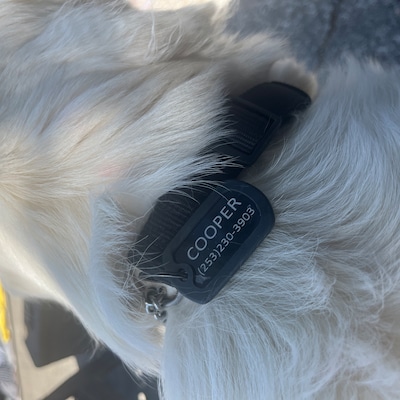 Made in USA Military GI Dog Tags Kit With Tag, Silencer and Fastener ...