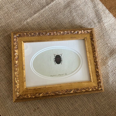 Picture Framing Mat Oval Opening Two Layer Matting Choose Size & Color ...