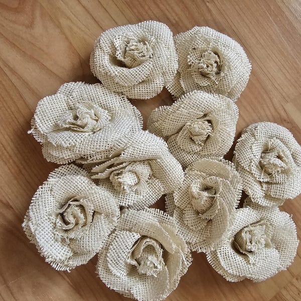 Rustic Shabby Chic Calligraphy Dark Green Feather Pen + Metal 5pcs Nib ...