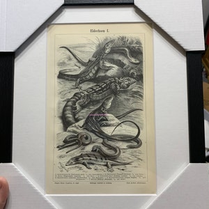 1898 Political Map of England and Wales Large Original Antique | Etsy