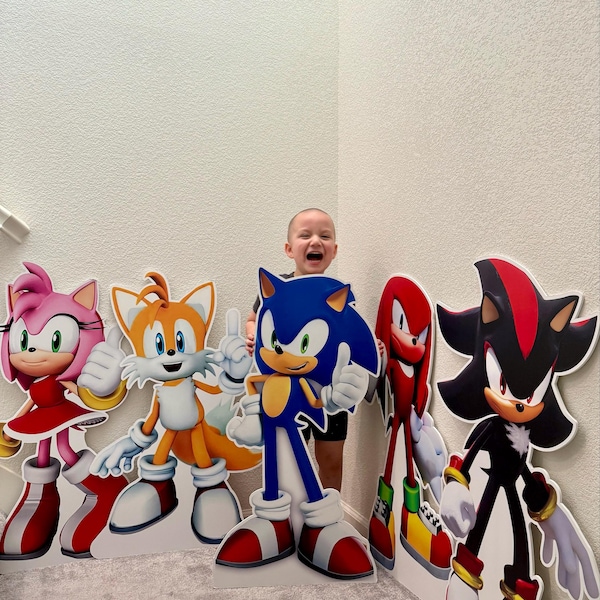 Sonic Props, Sonic Backdrop, Party Props, Shadow Cutout, Knuckles ...