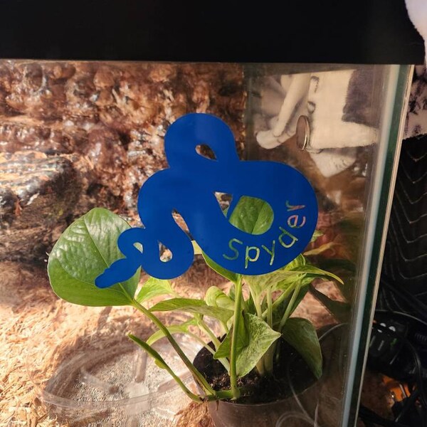 Customizable Name Ball Python Snake Vinyl Decal (READ DESCRIPTION) - Etsy