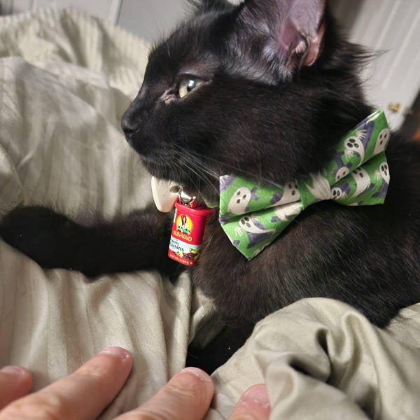 Bow Tie Cat Collar Set - "ghostly Gathering" - Halloween Ghost Cat ...