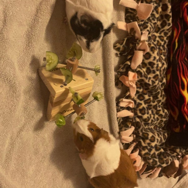 Pyramid Wheel Feeder Toy, Guinea Pig Toy, Rabbit Toy, Hamster Toy ...