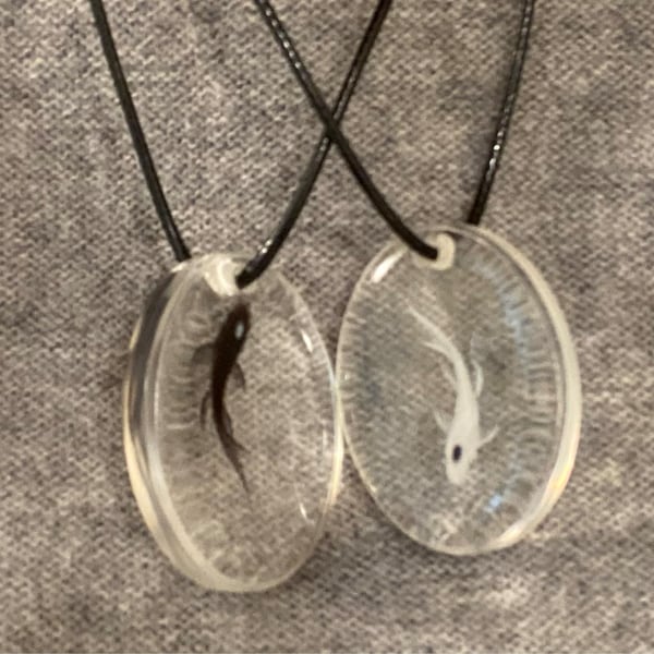 Yin Yang Fish Necklace, Fish Painting, Tui and La, Avatar the Last ...