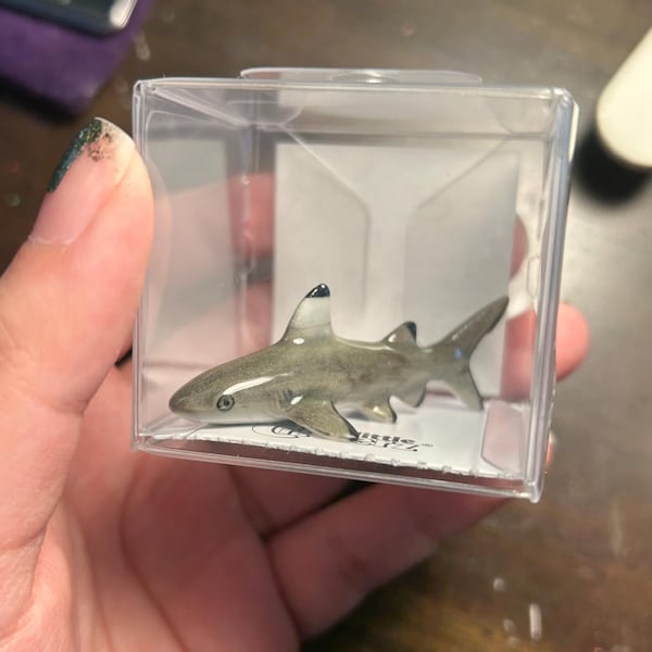 Little Critterz Frog Leopard Green Frog "rana" - Home Decor Reptile ...