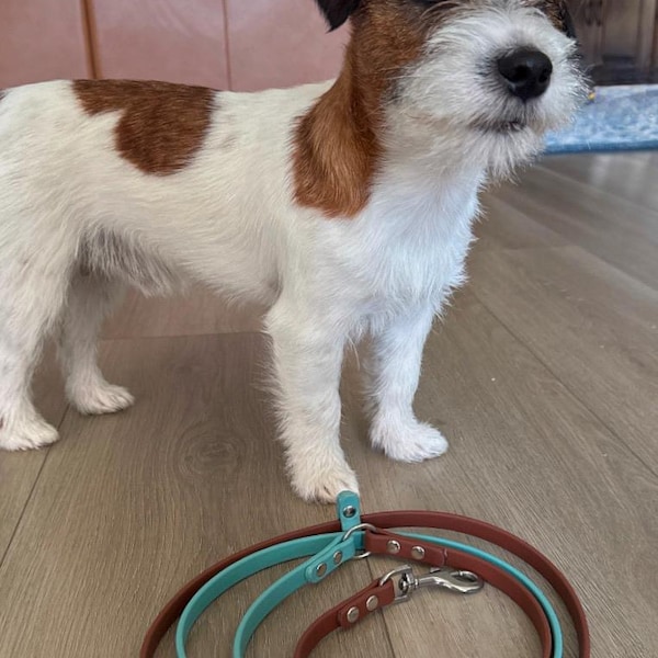 Biothane Tab or Bringsel Pick Your Color 1/2 Wide Heavy Weight, 8 Long ...