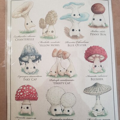 Mushling Identification Print Mushroom Botanical Fine Art - Etsy Canada