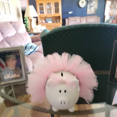 LARGE Personalized Pink Piggy Bank Flowered Tutuburlap - Etsy