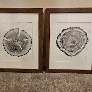 TREE RING ART Print, Tree Ring Print, Set of 6 Prints, Log Print Tree ...