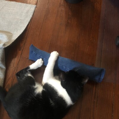 Upcycled Denim Catnip Toys Catnip Kickers Cat Toys Cat Gift Organic Catnip Cat Toy Cat Kicker ...