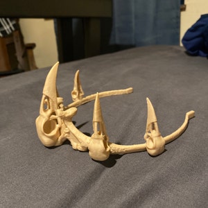 Raven Skull Tiara Headband Bone 3d Printed - Etsy