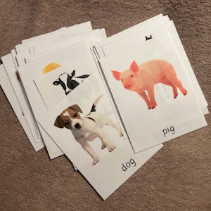 FARM ANIMALS 22 Editable Montessori Cards Flash Cards Nomenclature ...