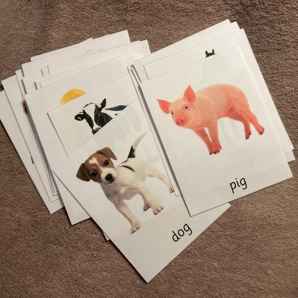 FARM ANIMALS • 22 Editable Montessori Cards • Flash Cards Nomenclature ...