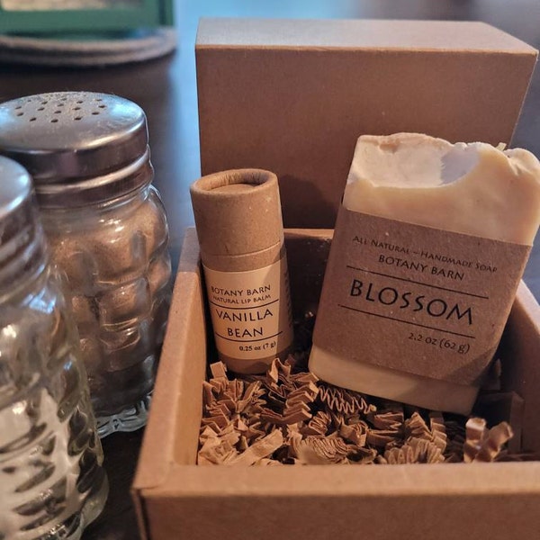 Organic Handmade Soap Gift Set. Sampler of 8 Half Sized Bars. Small ...