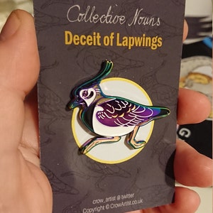 How to draw birds: Of the passerine order | Etsy